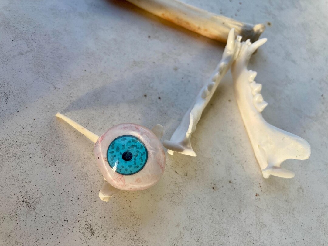 Human Prosthetic Eye - Baby Blue - Etsy Australia