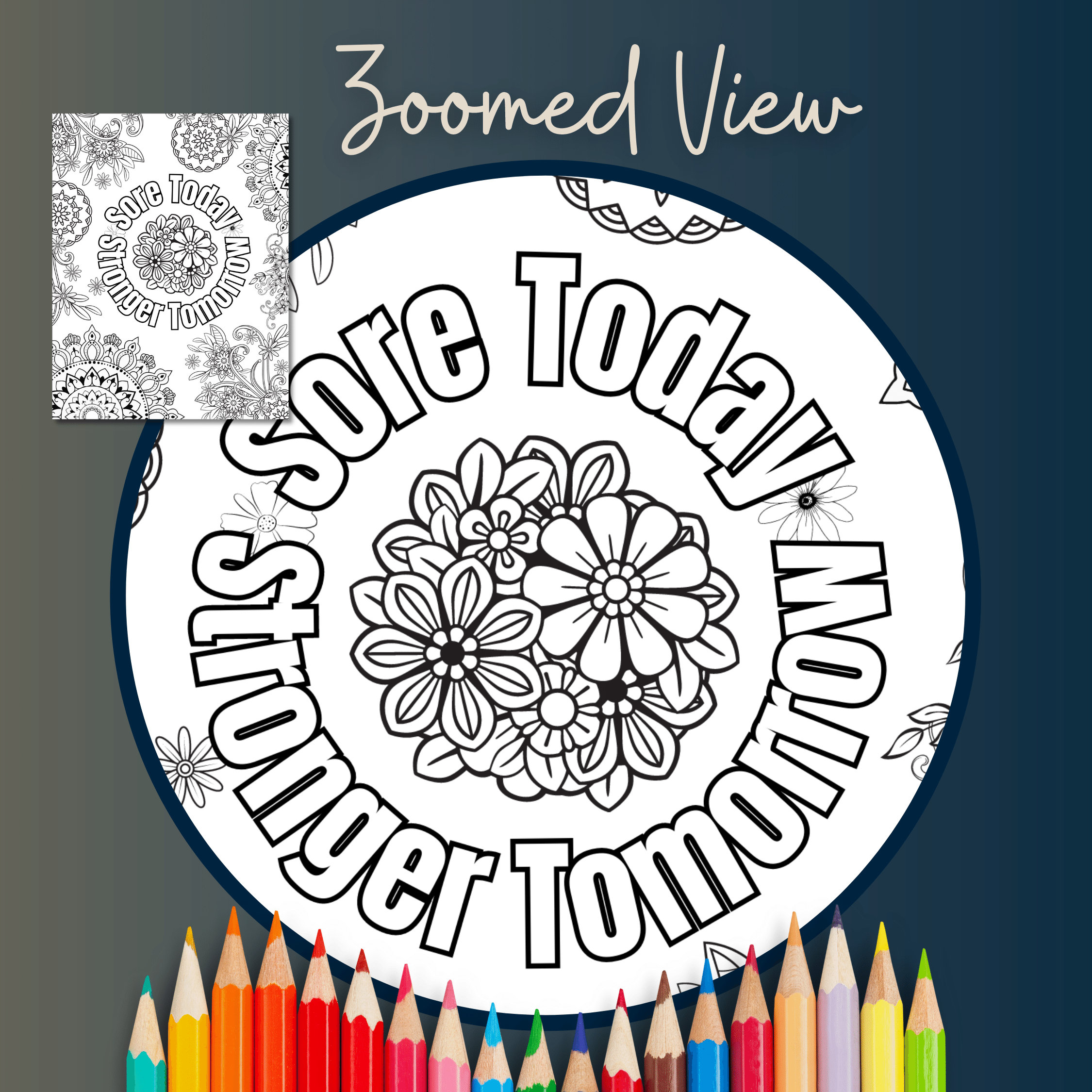Aerial Arts Coloring Page for Adults, Teens Circus, Aerial Silks ...