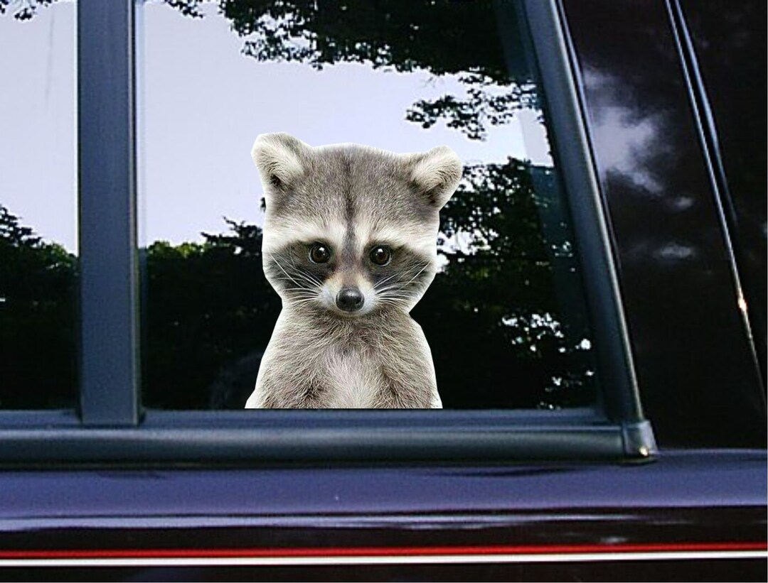 Cute Baby Racoon Peeker Peeking Custom Stickers Animal Stickers Car ...