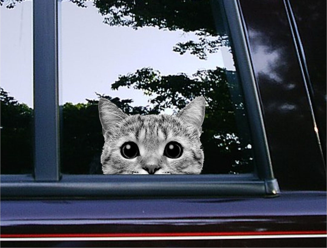 Cool Grey Cat Peeker Peeking Car Decals Funny Stickers Kitty Stickers ...