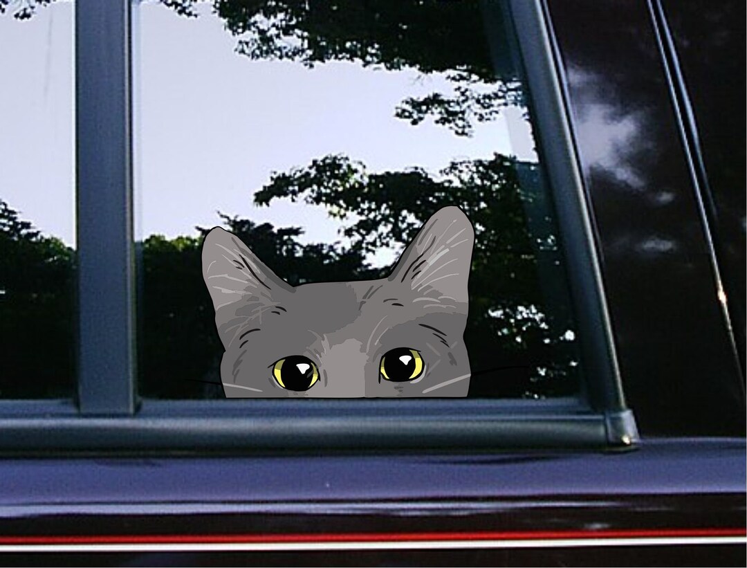 Gray Cat Peeker Peeking Car Decals Funny Stickers Kitty Stickers Mugs ...