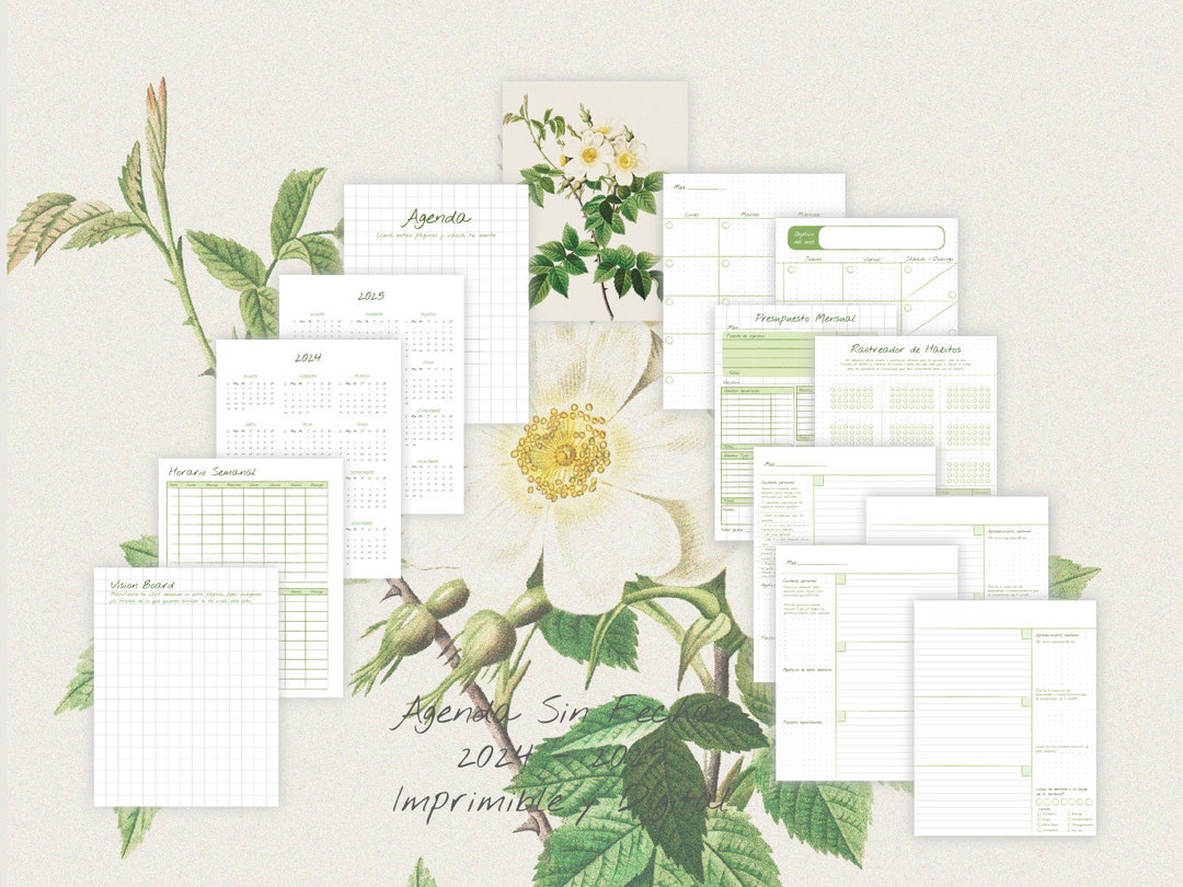 Bullet Daisy Agenda Without Dates 2024 2025 Printable and Digital - Etsy