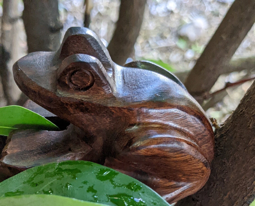 Ironwood Frog, Tabletop Wooden Tree Frog, Ironwood Toad, Mini Wooden ...