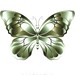 Designer Butterflies, Butterflies Digital Download, Digital Butterflies ...