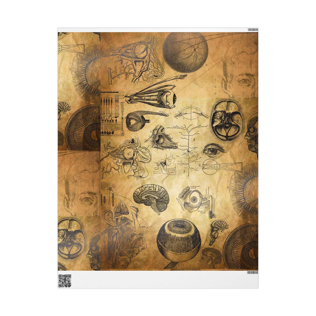 Ocular Anatomy Wrapping Paper for Optometrist Gift Wrap Optometry ...