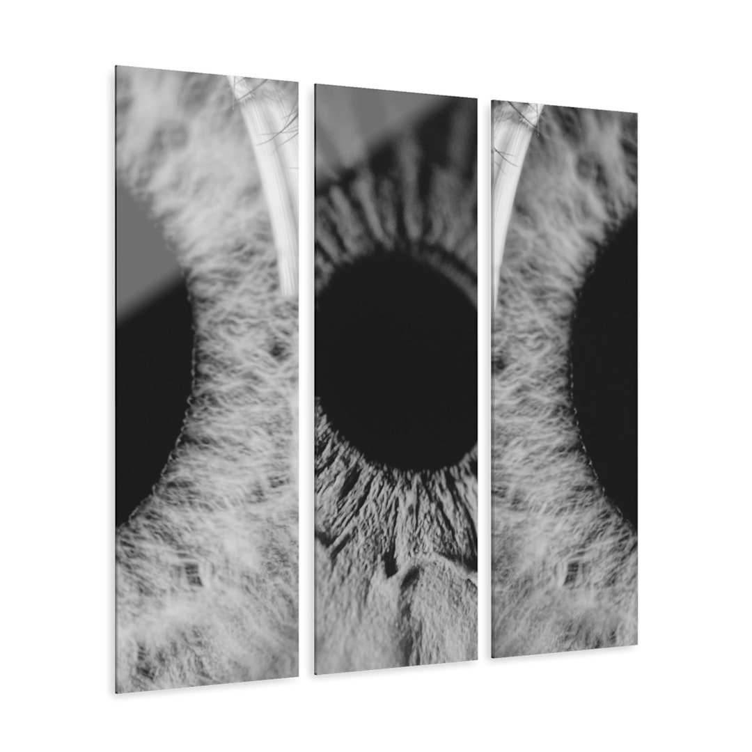 Optometry Clinic Wall Art for Optometrist Office & Ophthalmology ...