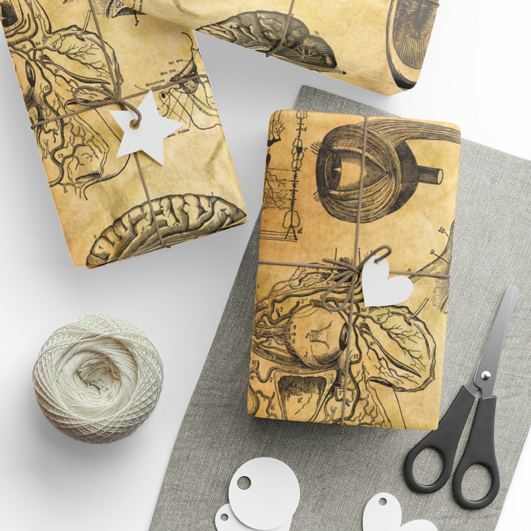 Ocular Anatomy Wrapping Paper for Optometrist Gift Wrap Optometry ...