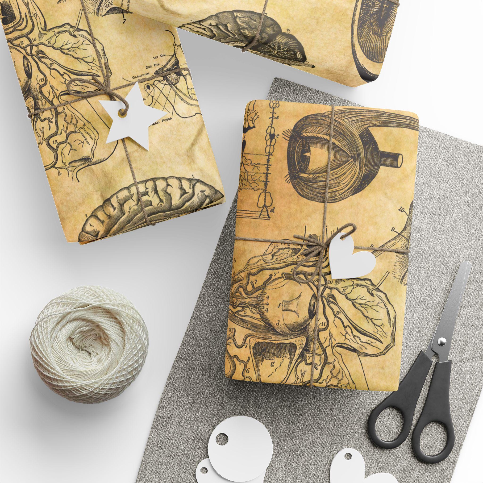 Ocular Anatomy Wrapping Paper for Optometrist Gift Wrap Optometry ...