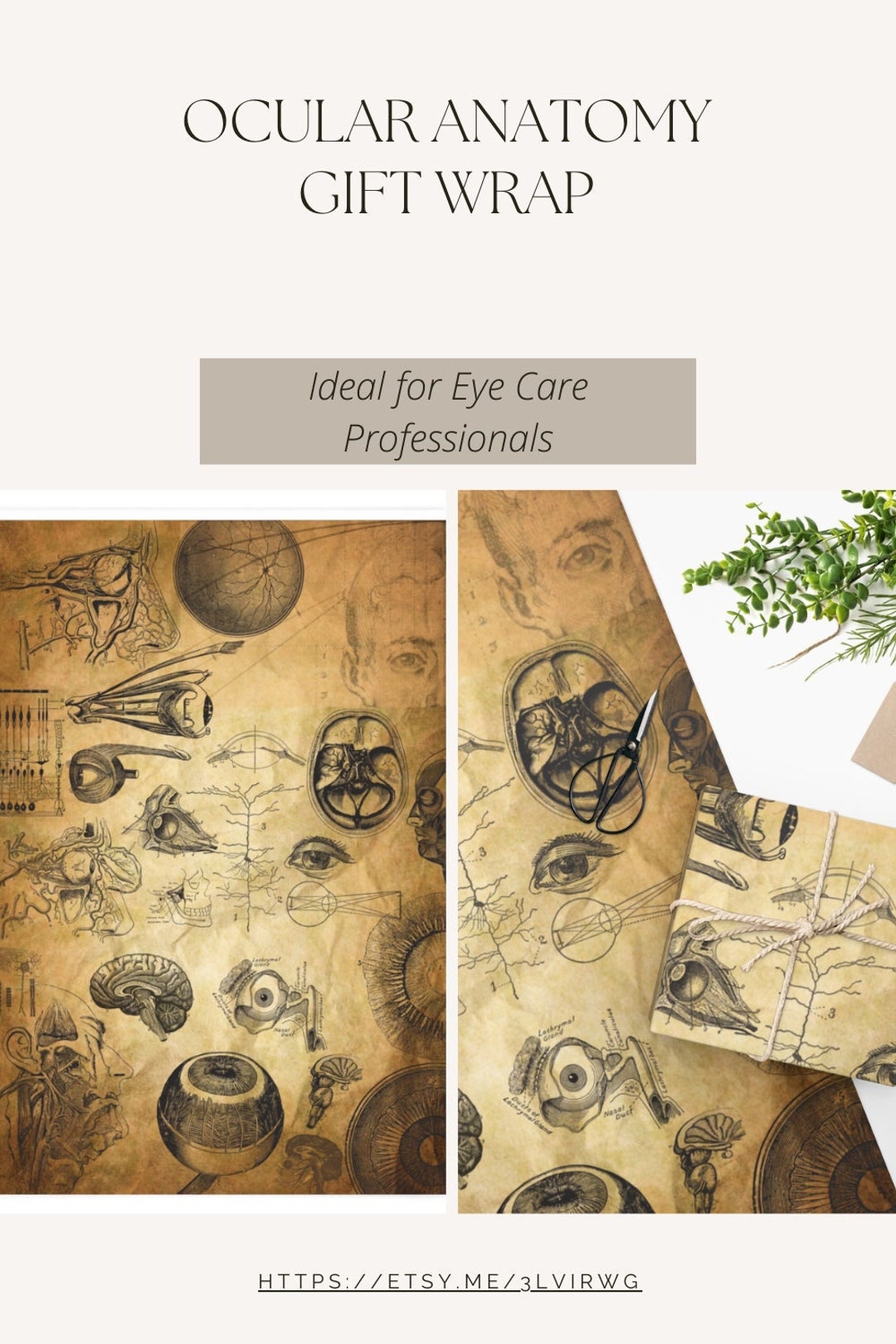 Ocular Anatomy Wrapping Paper for Optometrist Gift Wrap - Etsy