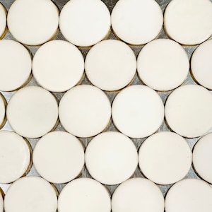 20 Blank Round Sugar Cookies for Eddie Printing - Etsy