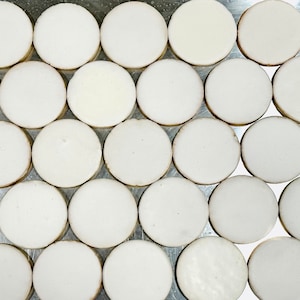 20 Blank Round Sugar Cookies for Eddie Printing - Etsy