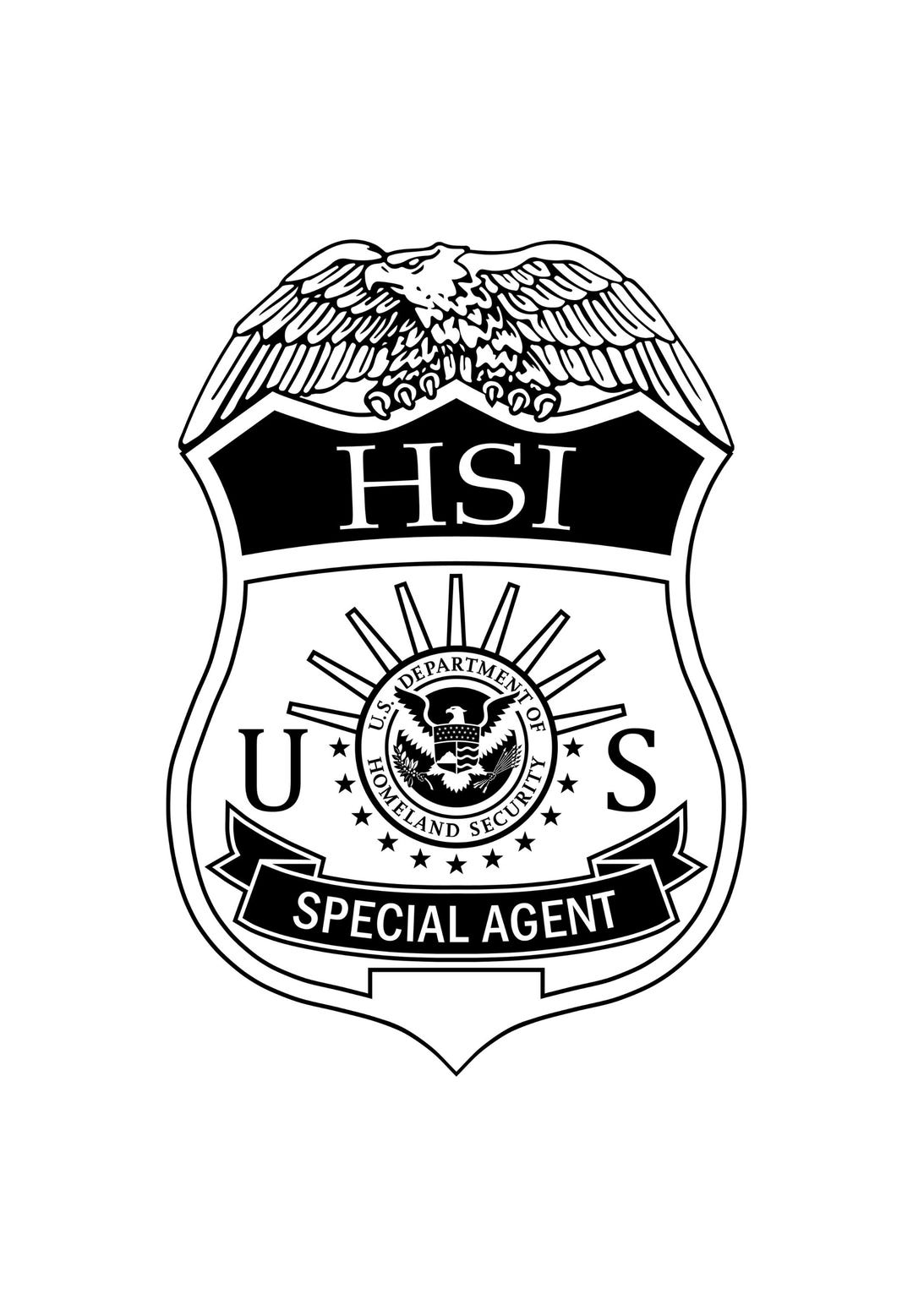 HSI Special Agent SVG File - Etsy