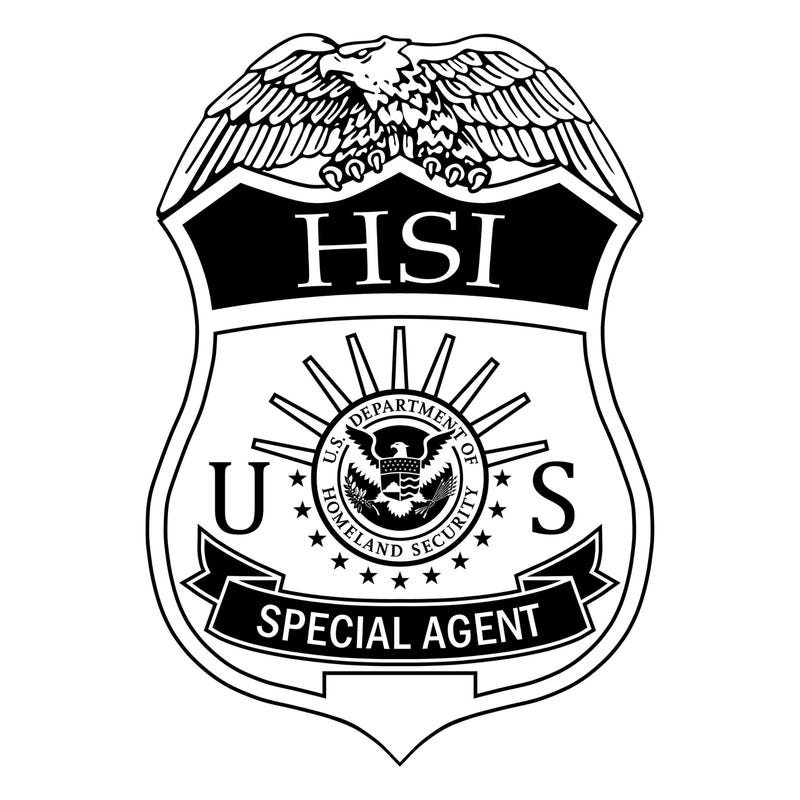 Homeland Security Investigations Badge - Etsy