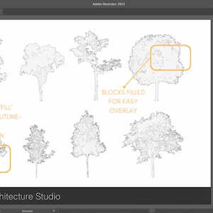Tree CAD Block Digital Download: Detailed Large Tree Drawings for ...