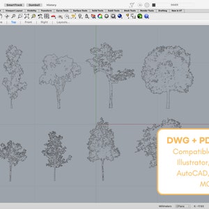 Tree CAD Block Digital Download: Detailed Large Tree Drawings for ...