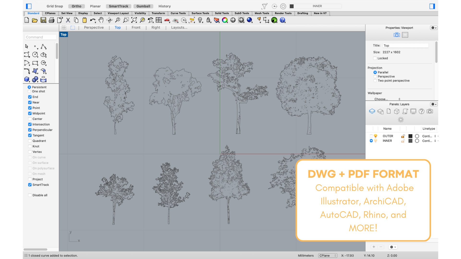 Tree CAD Block Digital Download: Detailed Large Tree Drawings for ...