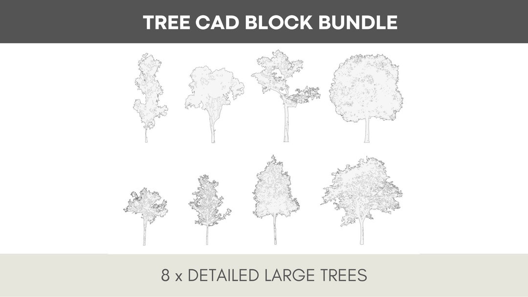 Tree CAD Block Digital Download: Detailed Large Tree Drawings for ...
