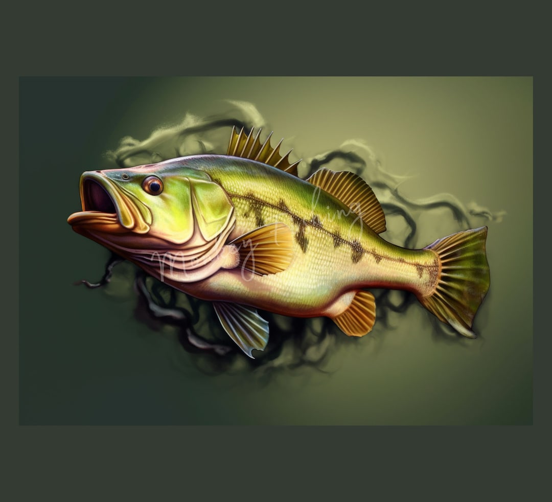Bass Fishing Decor, Largemouth Bass Fishing Pictures for Framing ...