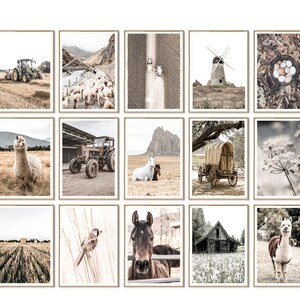 650 Prints FARMHOUSE Collection, Rustic Wall Art, Farmhouse Decor, Farm ...