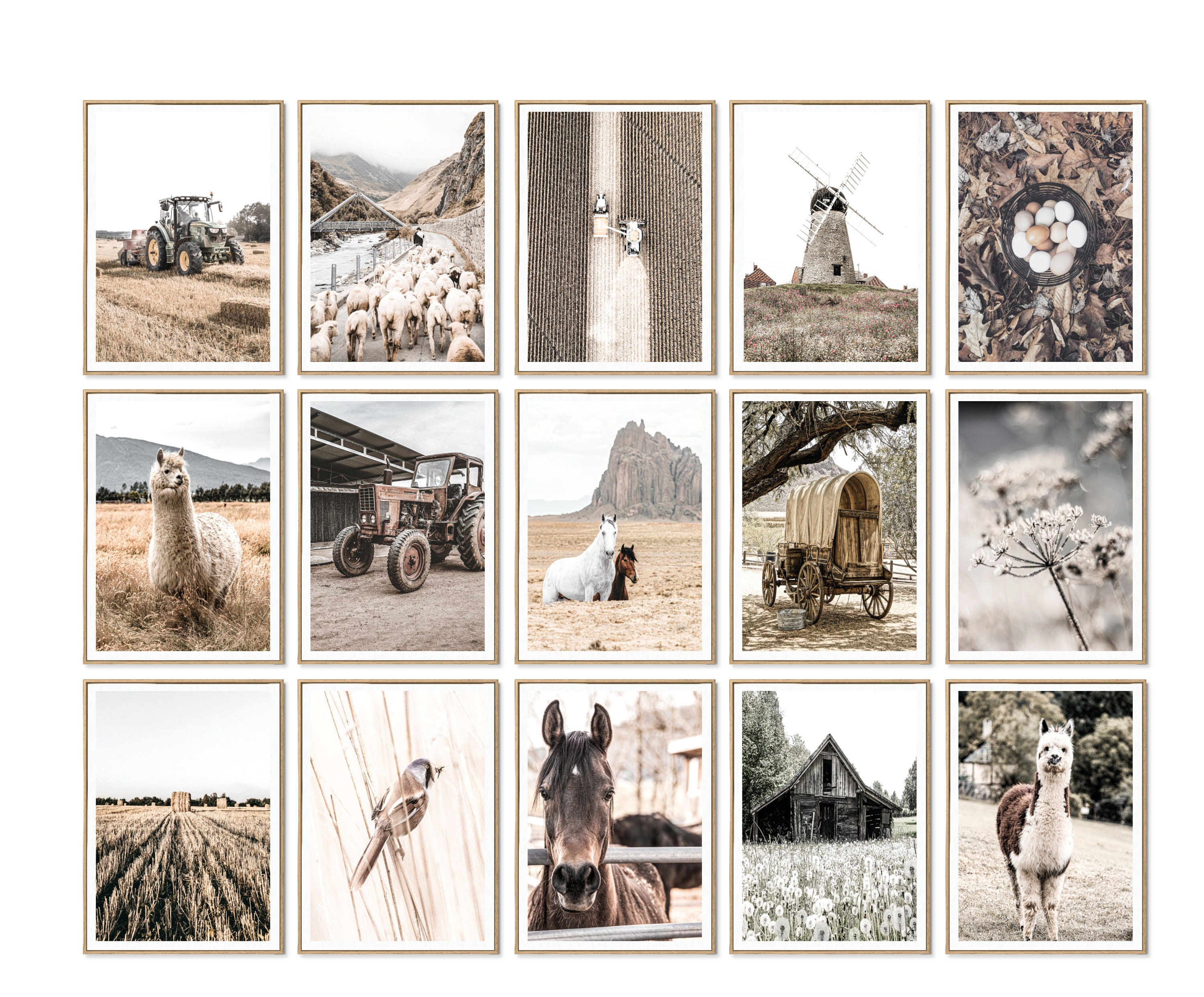 650 Prints FARMHOUSE Collection, Rustic Wall Art, Farmhouse Decor, Farm ...
