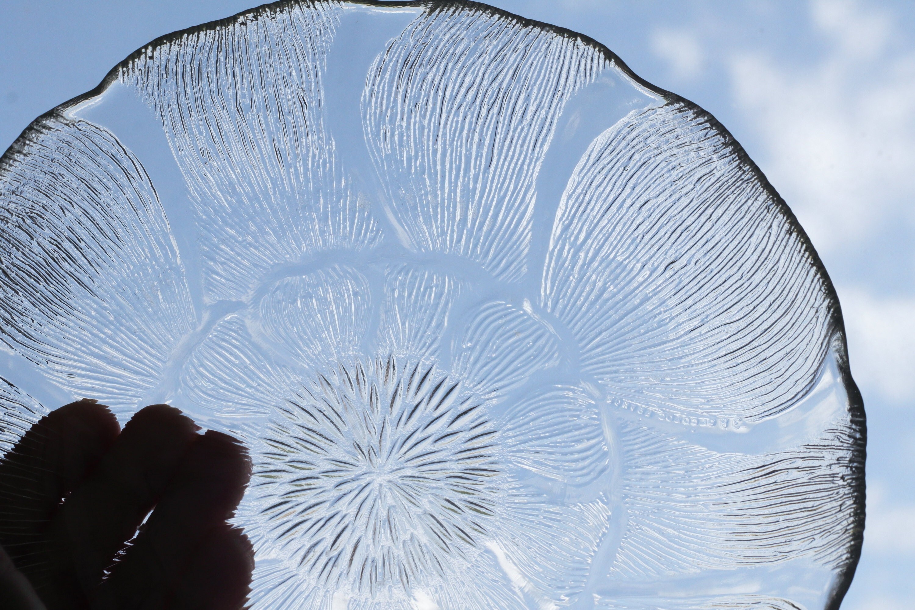 Vintage Arcoroc Fleur Glass Plate, Vintage Arcoroc Glass Plate ...