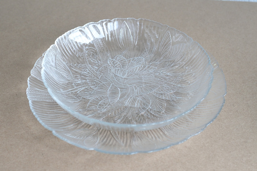 Vintage Arcoroc Crocus Plates Set, Arcoroc Clear Glass Canterbury ...