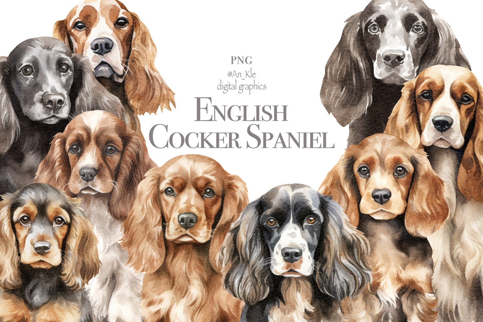 English Cocker Spaniel Clipart Png Digital Download, Watercolor Cocker ...