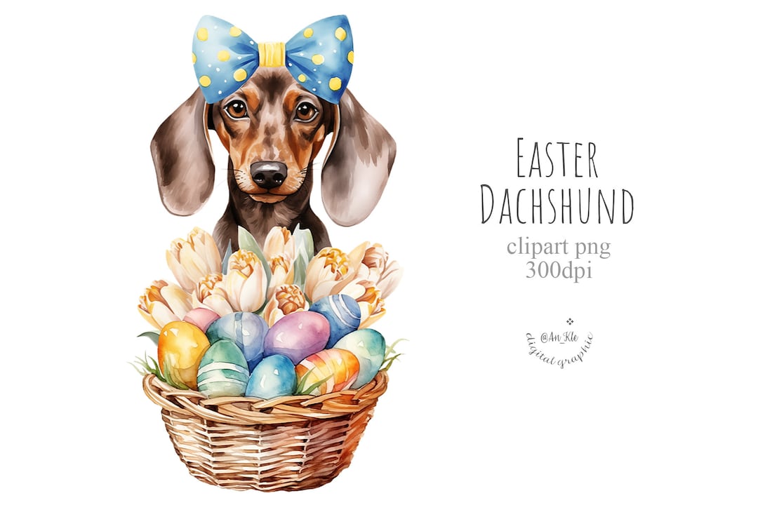 Easter Dachshund Portrait, Bunny Ears, Easter Eggs in Basket, Greeting ...