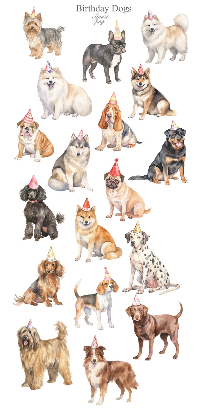 Birthday Dog Breeds Bundle, Watercolor Party Dogs Clipart Png Digital ...