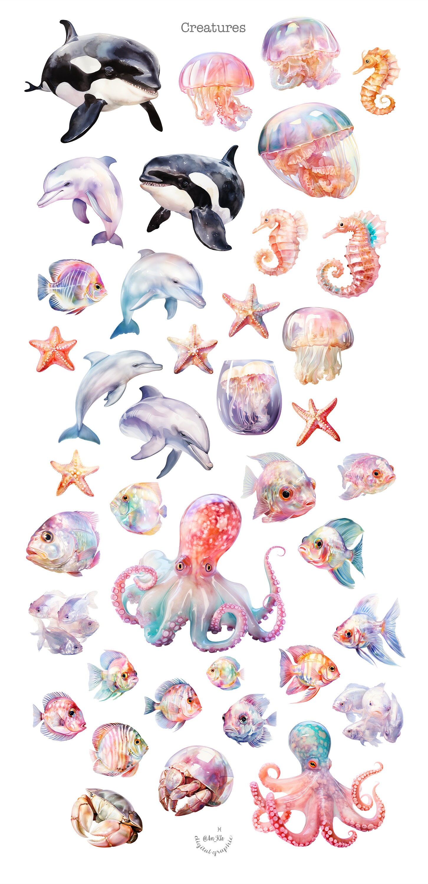 Ocean Clipart Bundle Digital Download, Summer Tropical Images, Marine ...