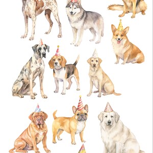 Birthday Dog Breeds Bundle, Watercolor Party Dogs Clipart Png Digital ...