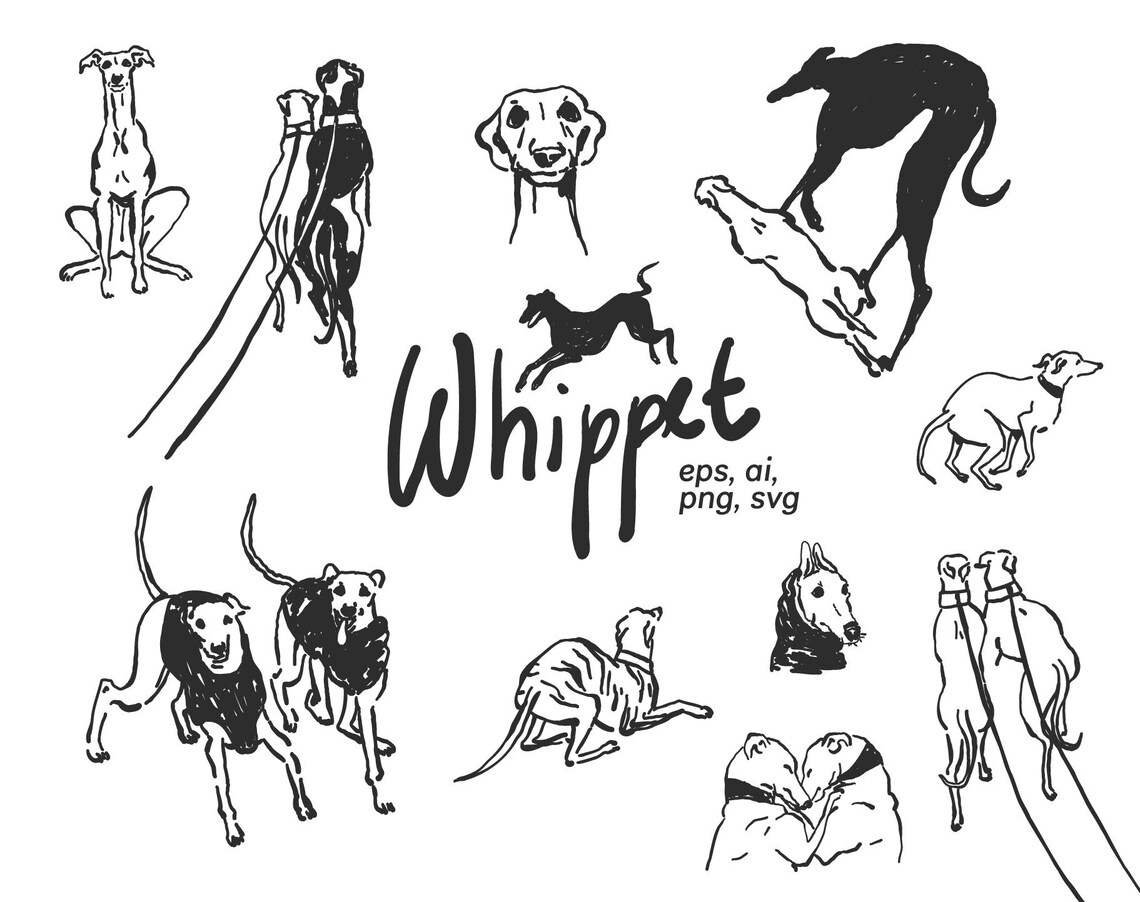 Whippet Minimalist Line Art, Eps Svg Vector, Lurcher Dogs Print ...