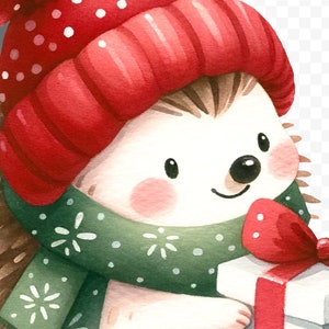 Cute Christmas Hedgehog Clipart Png Digital Download, Watercolor ...