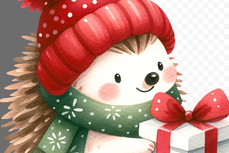 Cute Christmas Hedgehog Clipart Png Digital Download, Watercolor ...