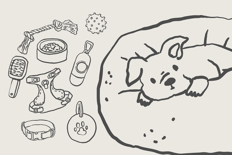 Dog Essentials Doodles, Pet Accessories Design Elements (svg, Png, Eps ...