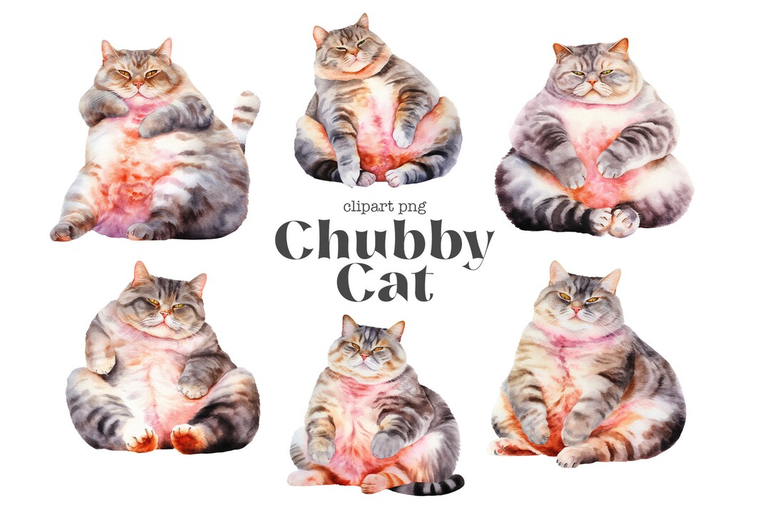 Funny Cats Clipart Png, Chubby Cats Sublimation, Whimsical, Watercolor ...