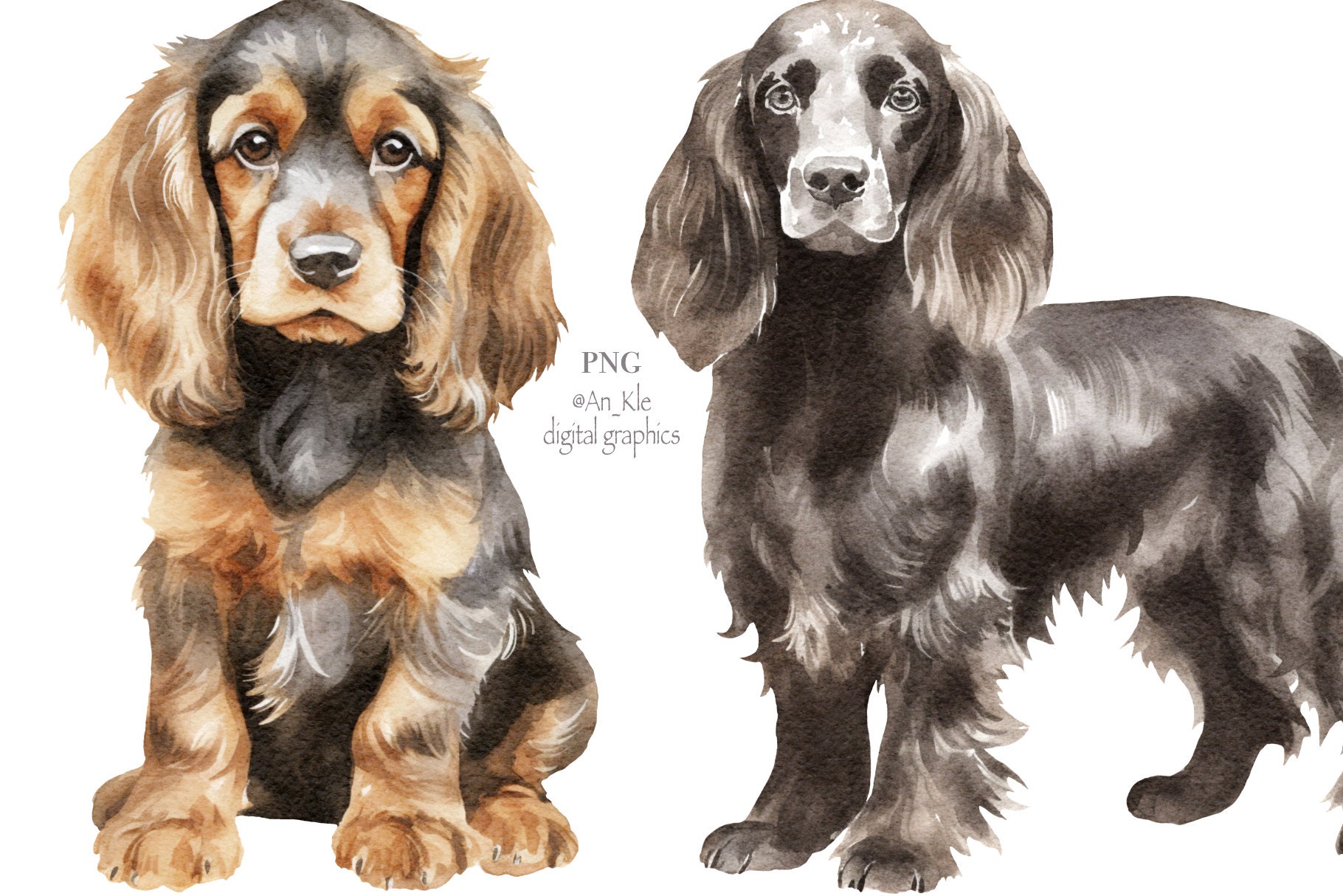 English Cocker Spaniel Clipart Png Digital Download, Watercolor Cocker ...