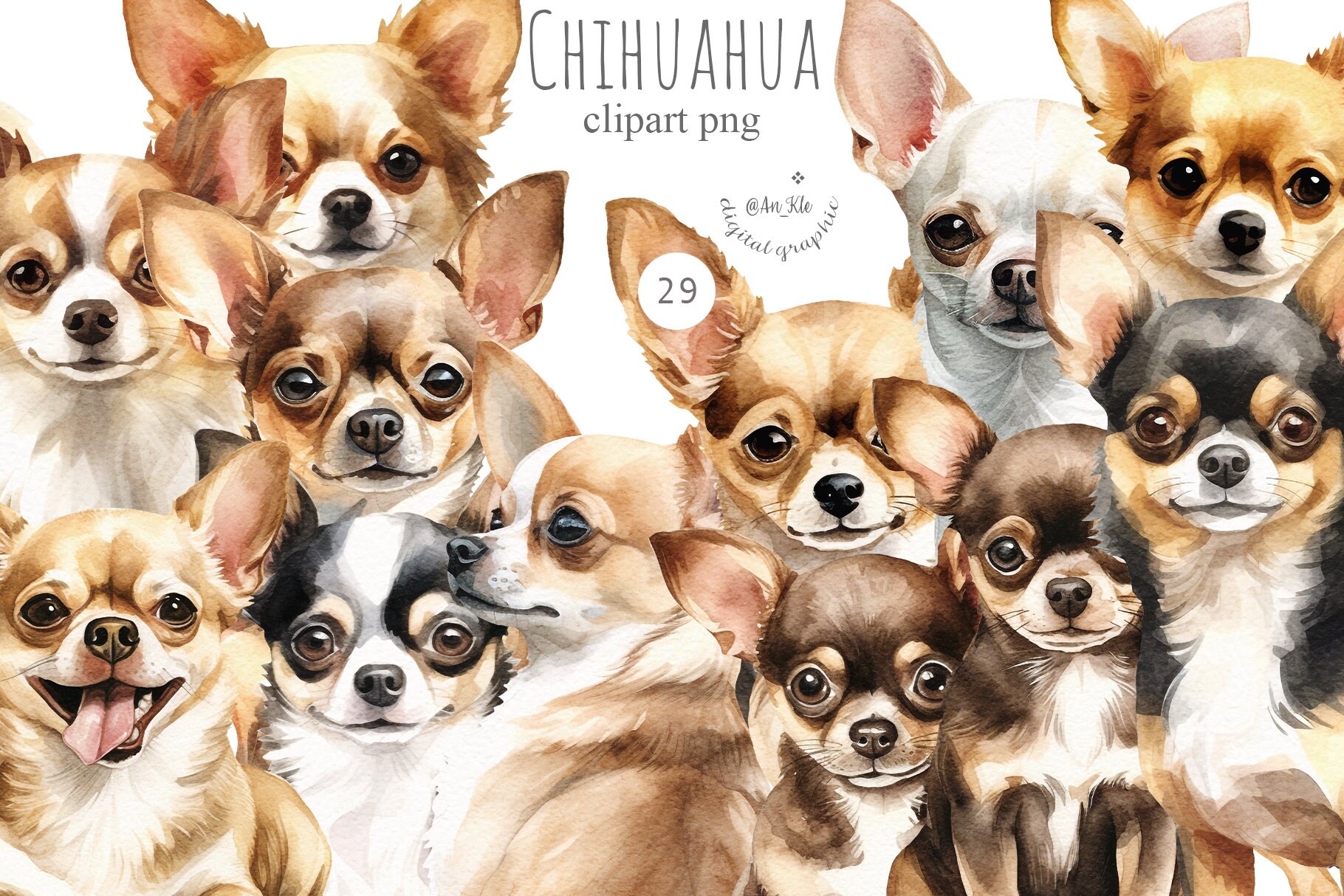 Chihuahua Watercolor Clipart Png Digital Download, Chihuahua Dogs and ...