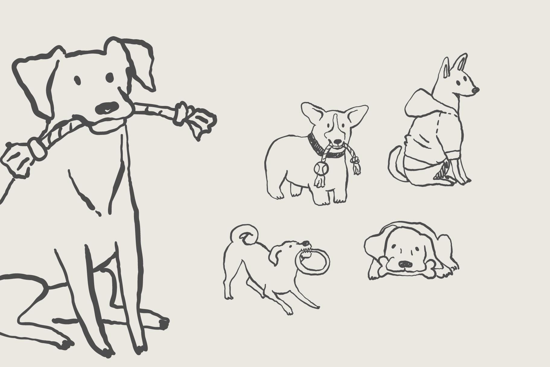 Dog Essentials Doodles, Pet Accessories Design Elements (svg, Png, Eps ...