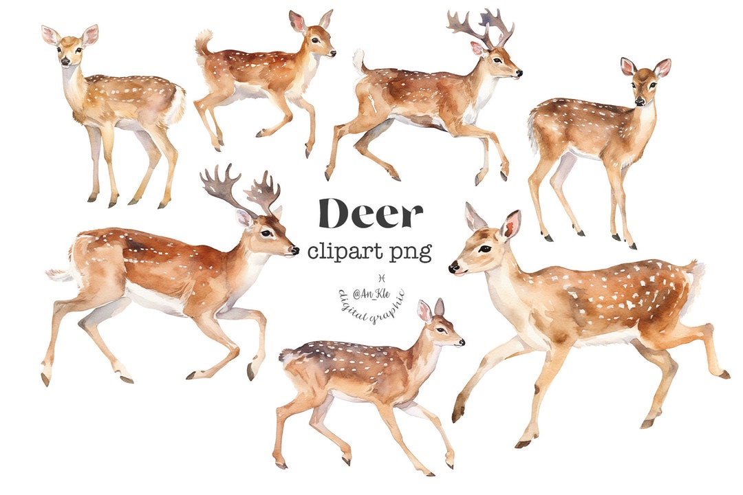 Spotted Deer Clipart Png Digital Download, Watercolor Woodland Deers ...