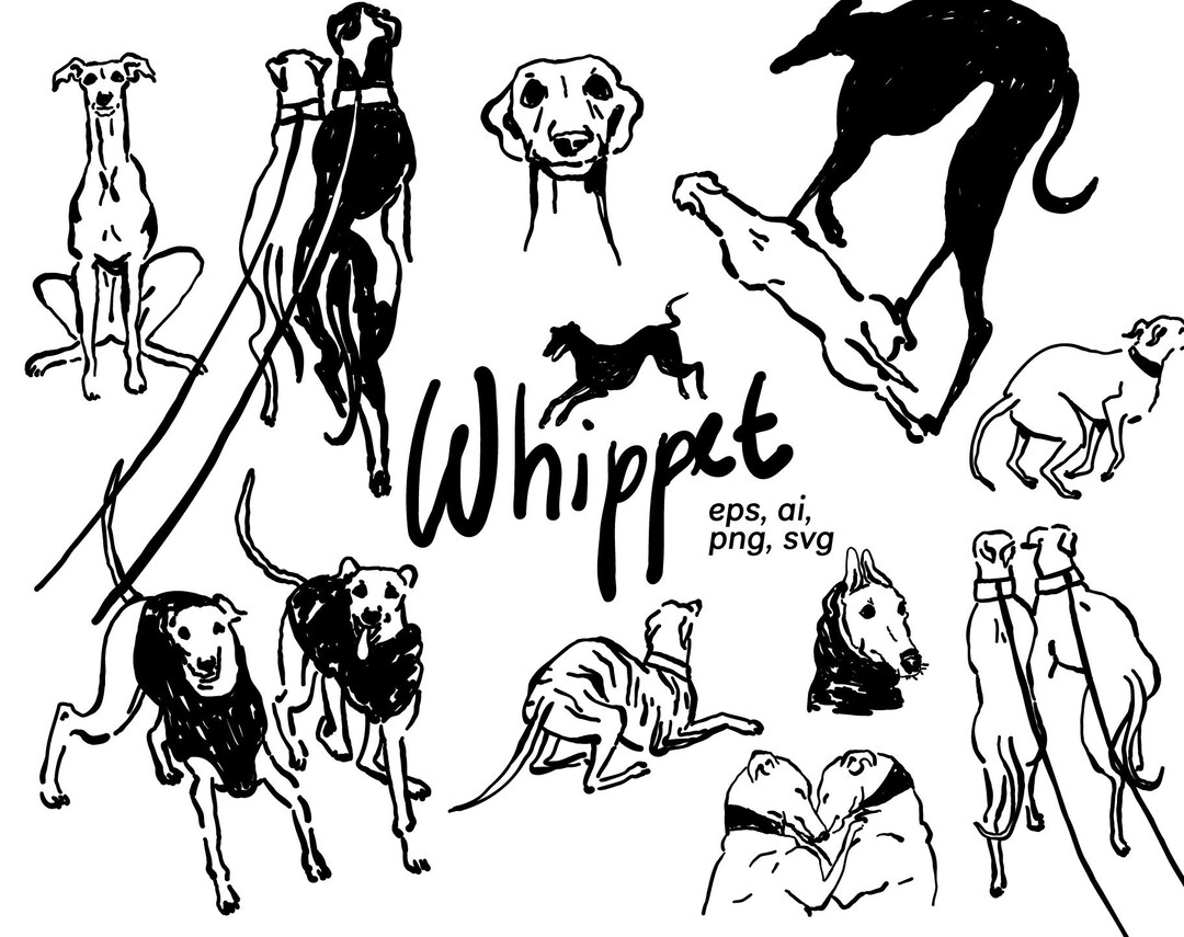 Whippet Minimalist Line Art, Eps Svg Vector, Lurcher Dogs Print ...