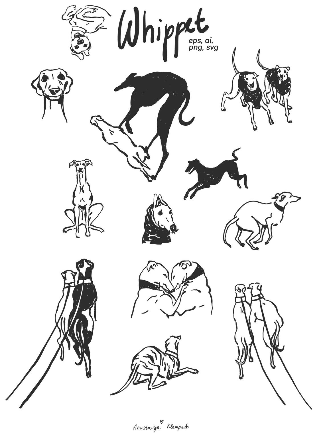 Whippet Minimalist Line Art, Eps Svg Vector, Lurcher Dogs Print ...