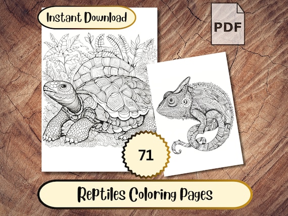 Coloriages De Reptiles à Imprimer Coloriage Serpent