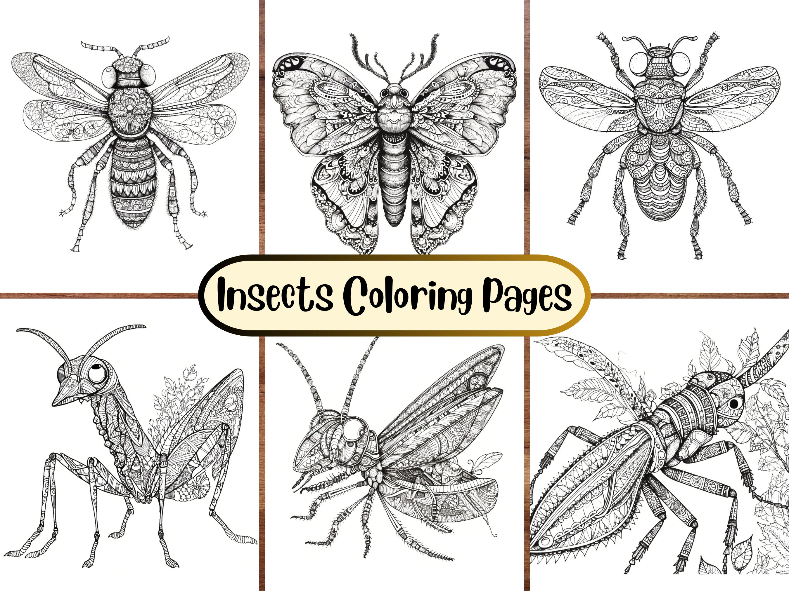 Insects Coloring Pages, 62 Printable Pages, Instant Download, Unique ...