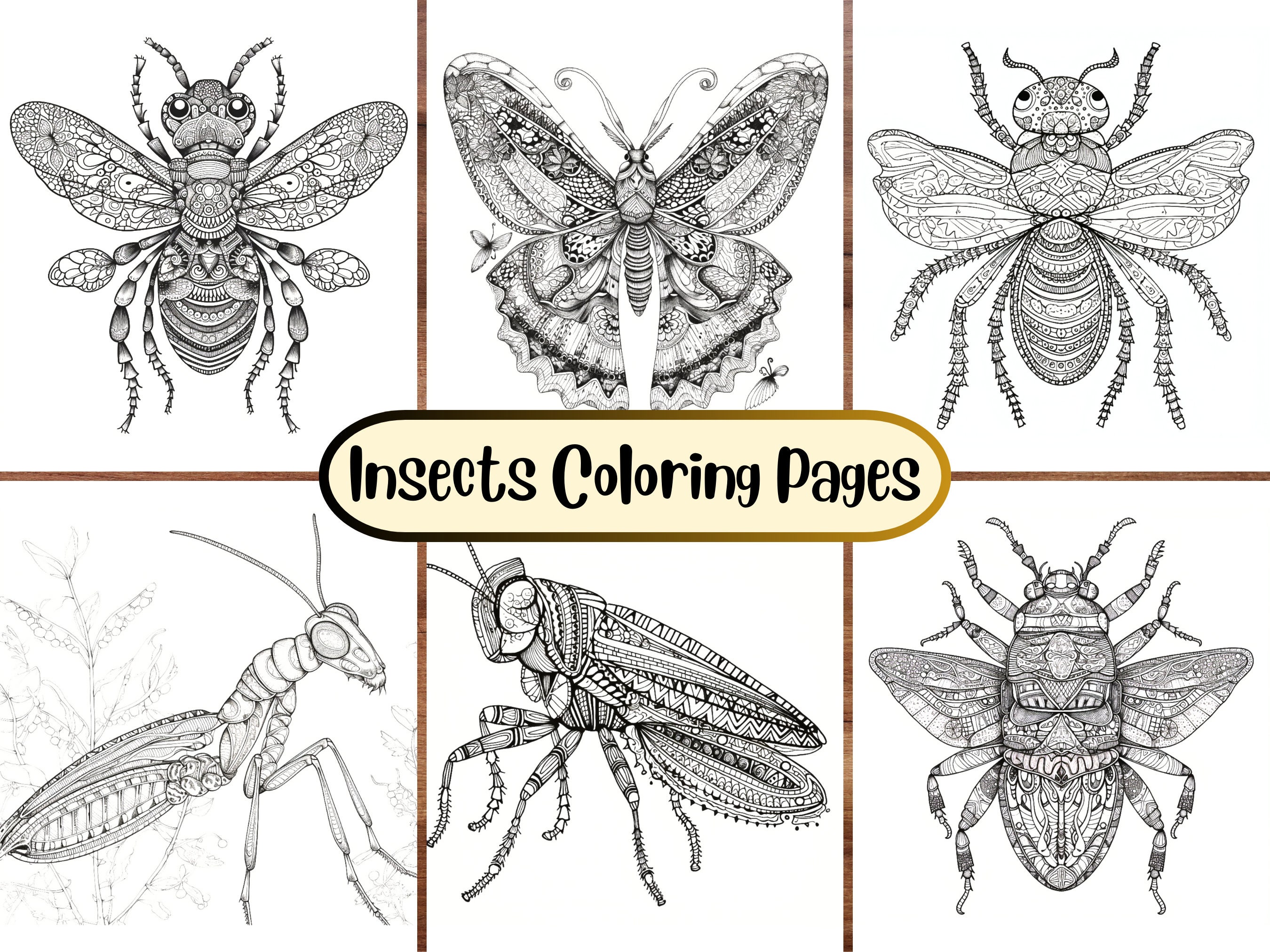 Insects Coloring Pages, 62 Printable Pages, Instant Download, Unique ...