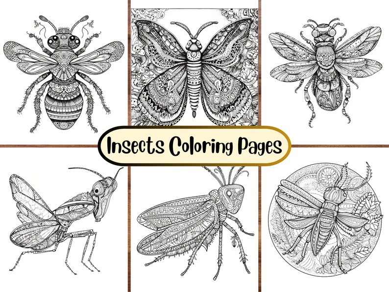 Insects Coloring Pages, 62 Printable Pages, Instant Download, Unique ...