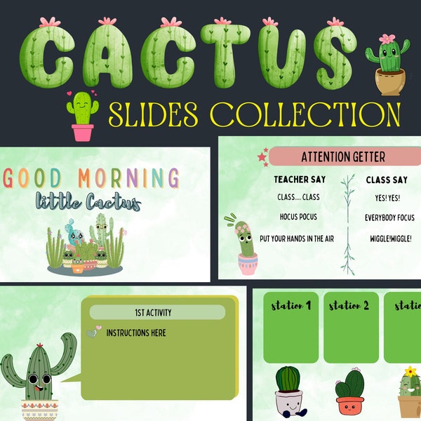 Classroom Cactus - Etsy