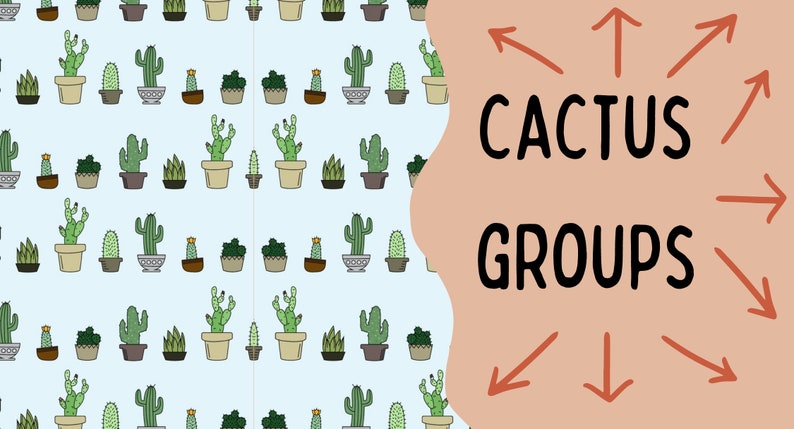 15 Slides GREEN CACTUS EDITABLE Classroom Slides Template | Teacher ...