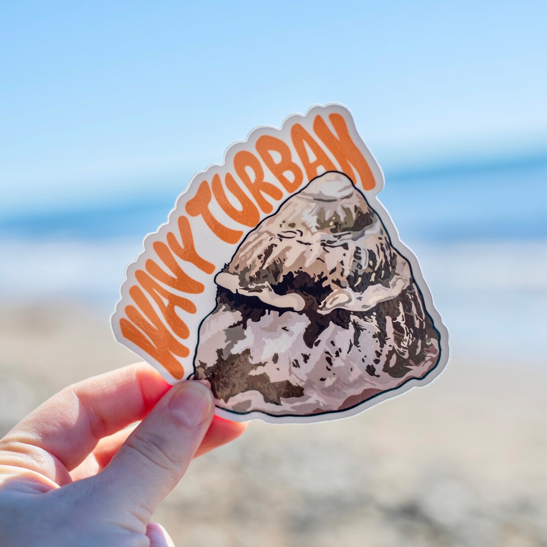 Wavy Turban Shell Vinyl Sticker // Beachcombing, Beach, Shelling ...