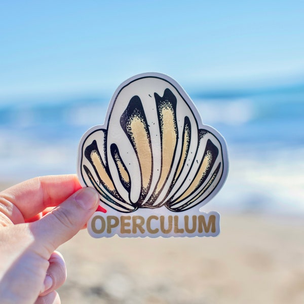 Operculum - Etsy